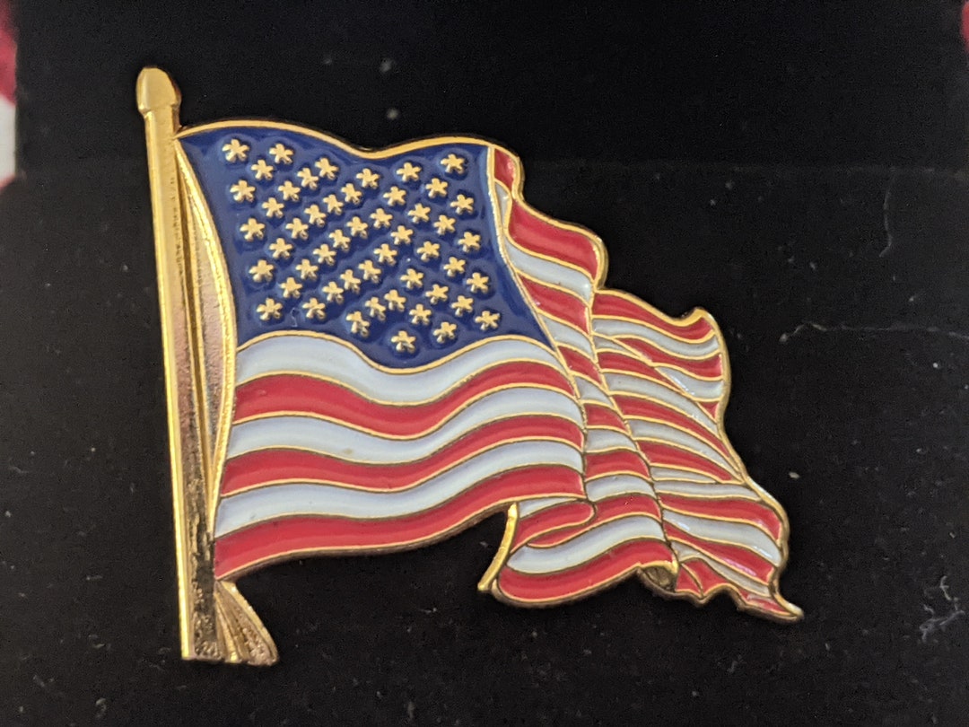 Waving American Flag With Pole (metal Backed) Lapel Pin - Etsy