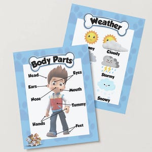 Paw Patrol Educational Flashcards for Toddlers | Learn Alphabet ...