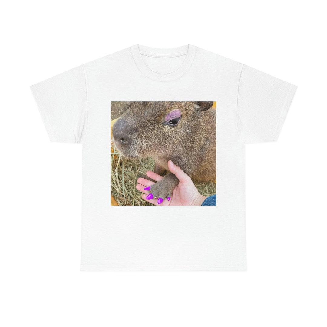 Capy Capybara Slay Funny Meme Tee - Etsy