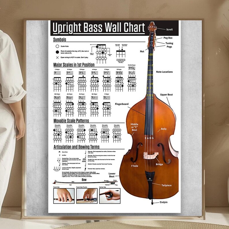 Upright Bass Wall Chart Major Scales in 1st Position - Etsy