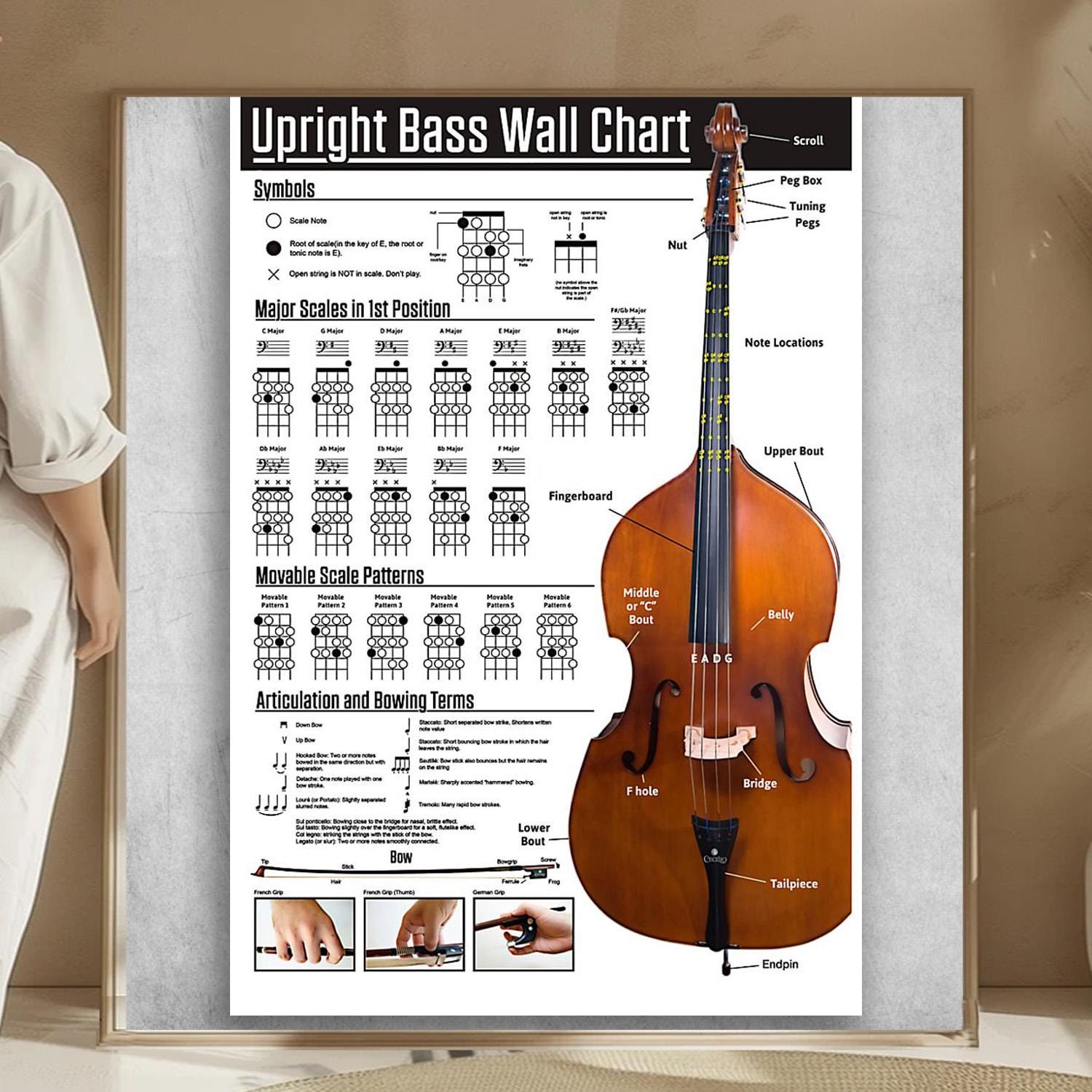 Upright Bass Wall Chart Major Scales in 1st Position - Etsy