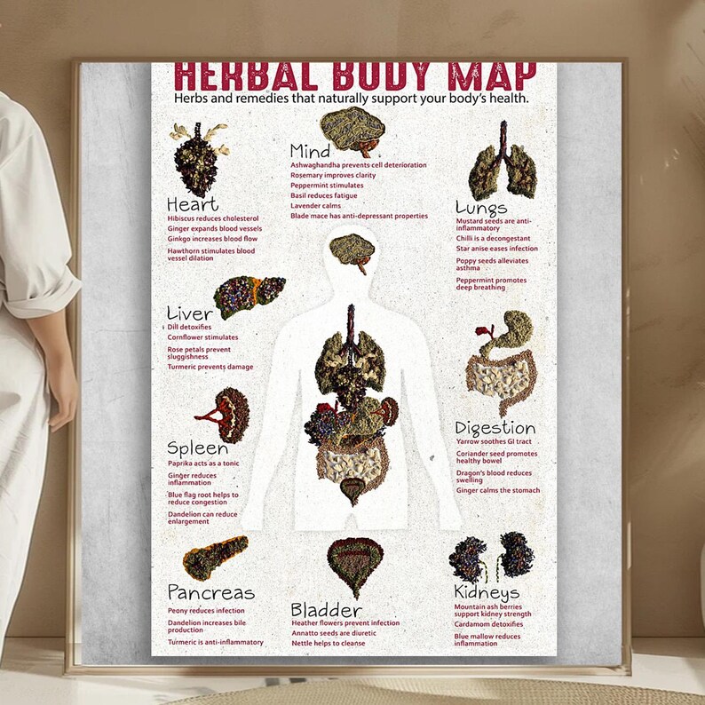Herbal Body Map Herbs and Remedies That Support Your Bodys Health - Etsy