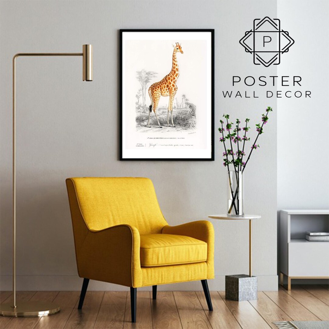 Giraffe Vintage Antique Print Poster - Etsy