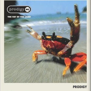 Prodigy - the Fat of the Land Poster - Etsy