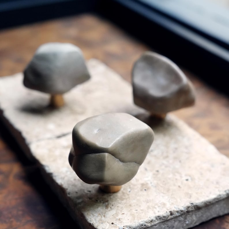 Stone Cabinet Knob — Natural Gobi Desert Rock Drawer Pull With Brass ...