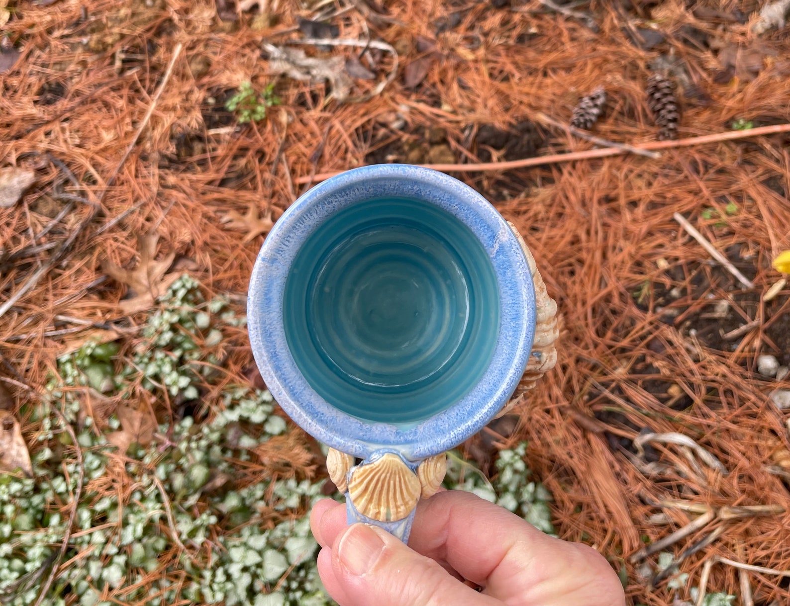 Handmade Conch Shell Coffee Mug - Etsy