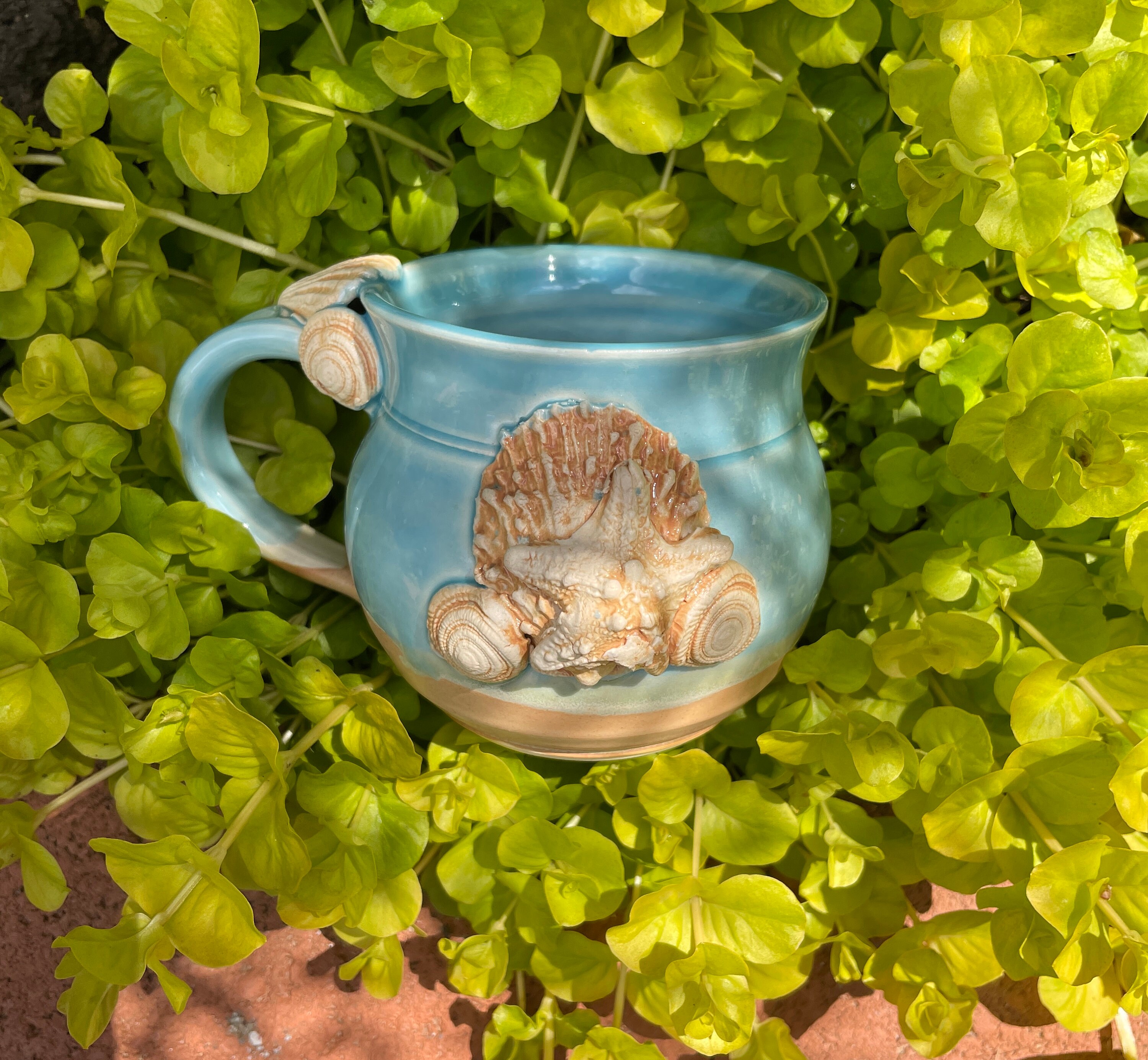 Handmade Ocean Theme Multi-shell Coffee Mug - Etsy