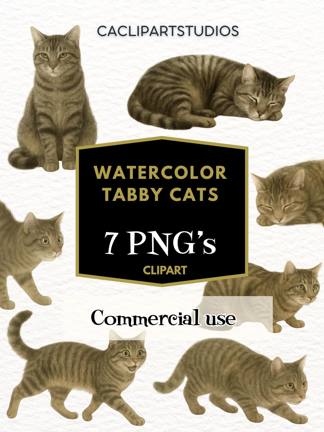 7 Watercolor Tabby Cats Clipart, Png Graphic for Commercial Use - Etsy