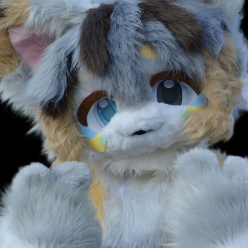Premade Fursuit - Etsy