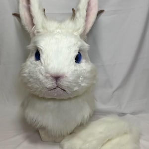 Realistic Rabbit Fursuit Head - Etsy