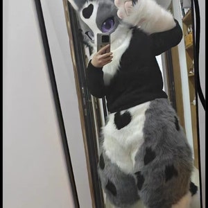 Fursuit Head Full Body, Meteorite Border Collie Furrynew Pre-made Fur ...