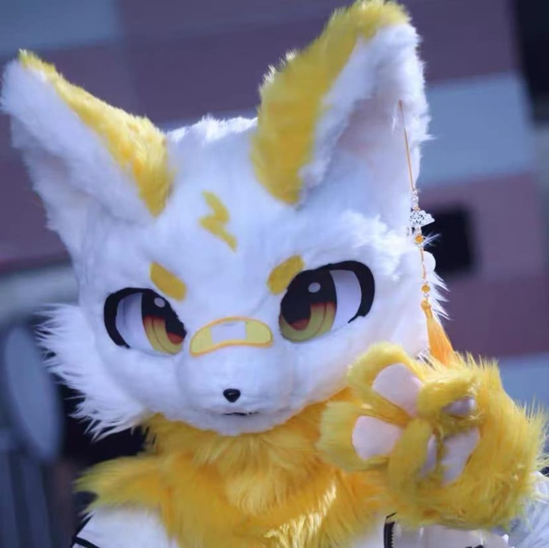 Fursuit Head, Furry Pre-made Fur Head, Furry Cosplay,fantasy Creatures ...