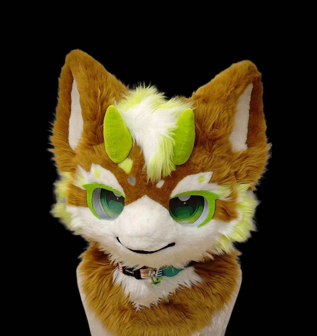 Fursuit Head - Only Head, Furry Pre-made Fur Head, Furry Cosplay, "cool ...