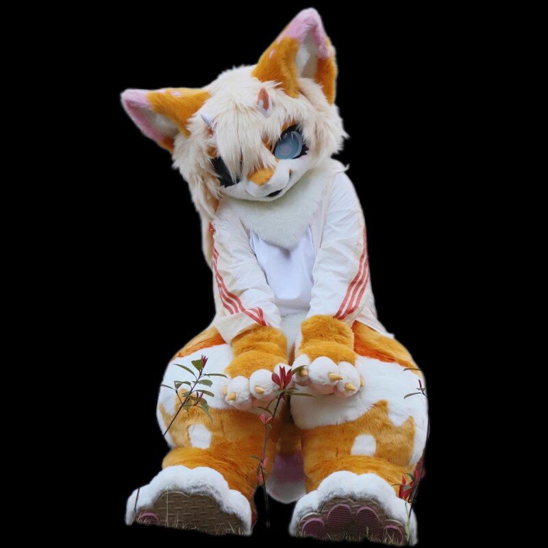 Full fursuit - Etsy México