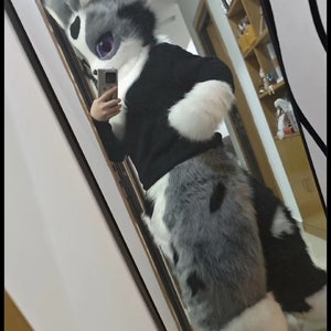 Fursuit Head Full Body, Meteorite Border Collie Furrynew Pre-made Fur ...