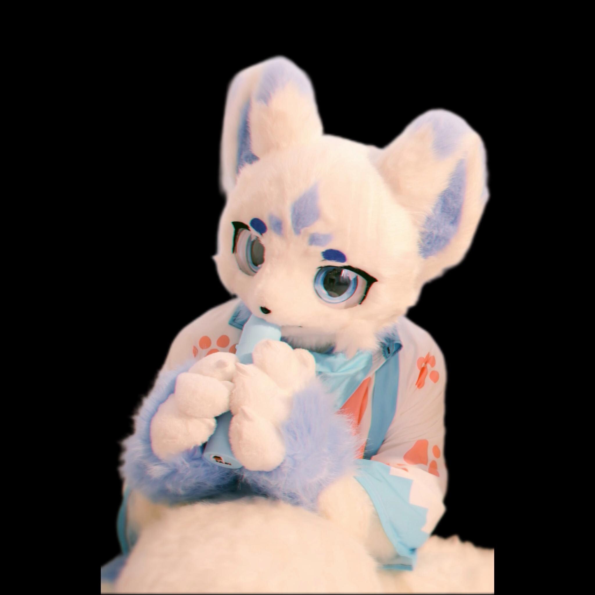 Fursuit Full Body, Furrynew Pre-made Fur Head, Furry Cosplay, Full ...
