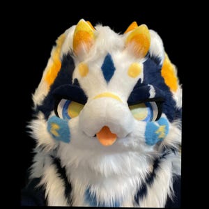 Fursuit Full Body, Furrynew Pre-made Fur Head, Furry Cosplay, Full ...