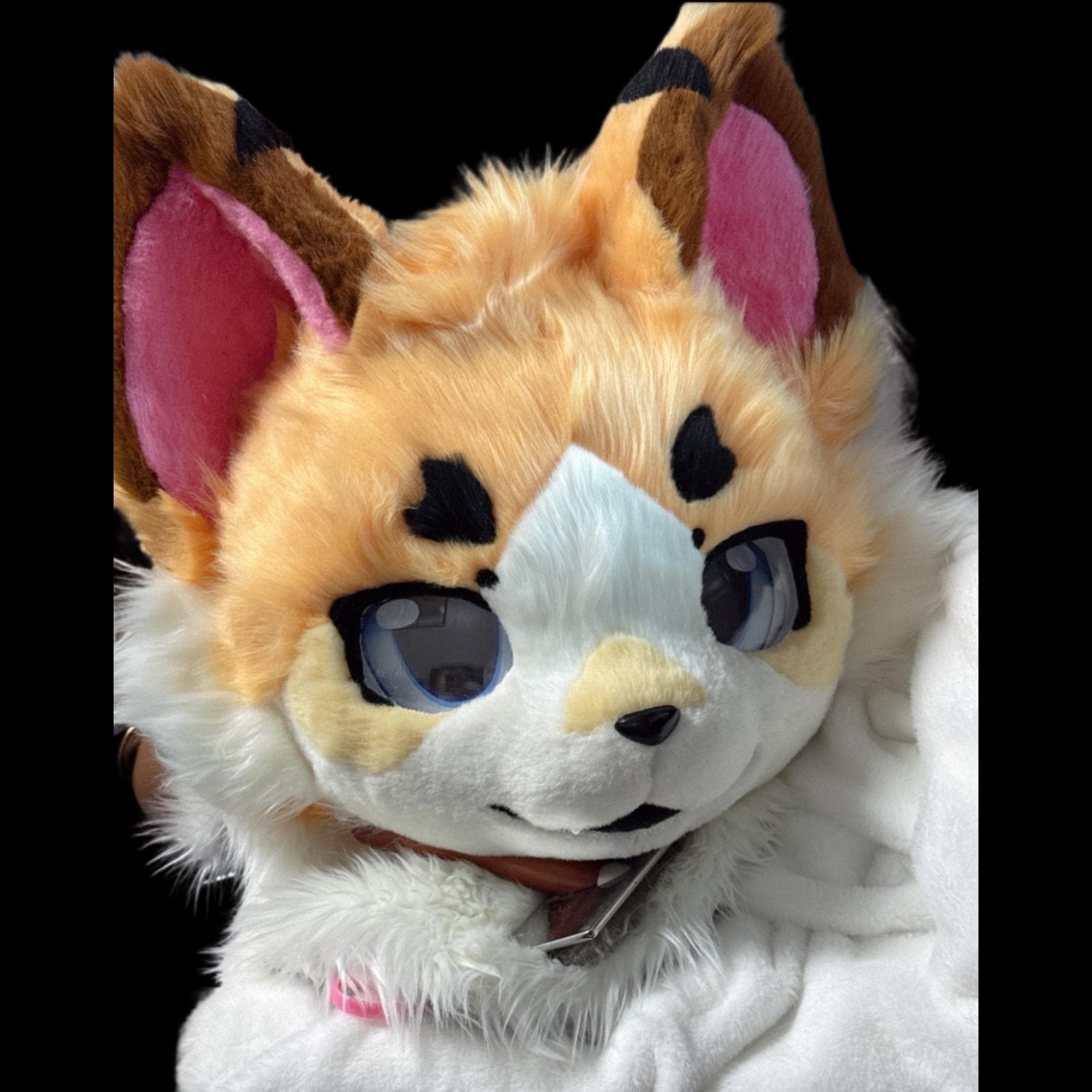 Fursuit Head, Furry Pre-made Fur Head, Furry Cosplay,fantasy Creatures ...