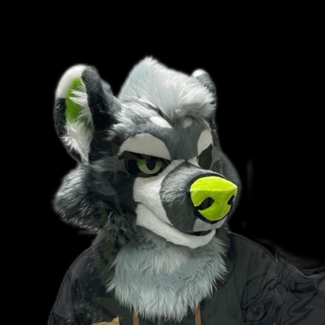 Toony Dog Fursuit Head, Furry Pre-made Fur Head, Furry Cosplay,fantasy ...