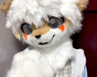 Fursuit Head- Head, Claw, Foot and Tail, Furry Cosplay,fantasy ...