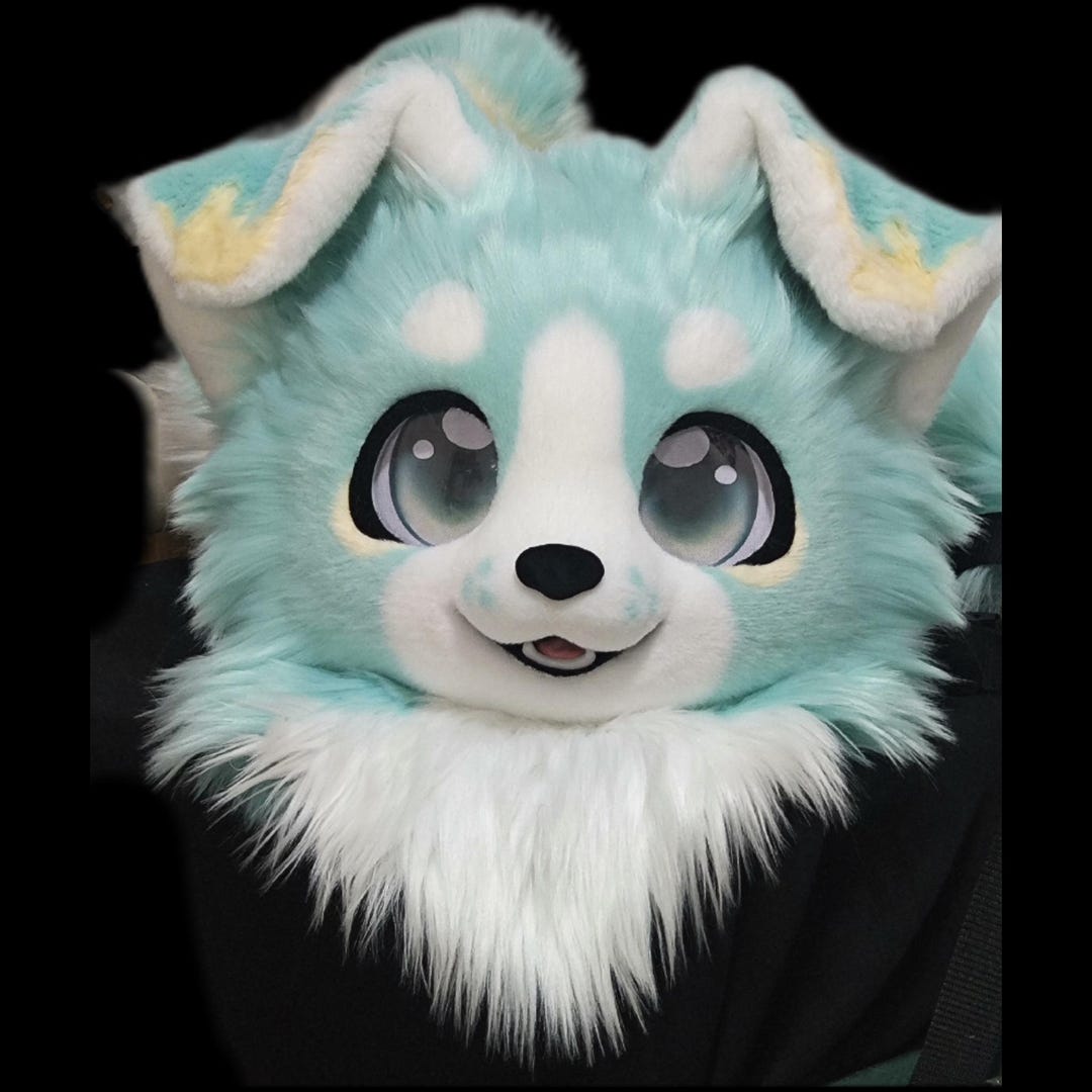 Fursuit Head, Furry Pre-made Fur Head + Paw + Tail, Furry Cosplay ...