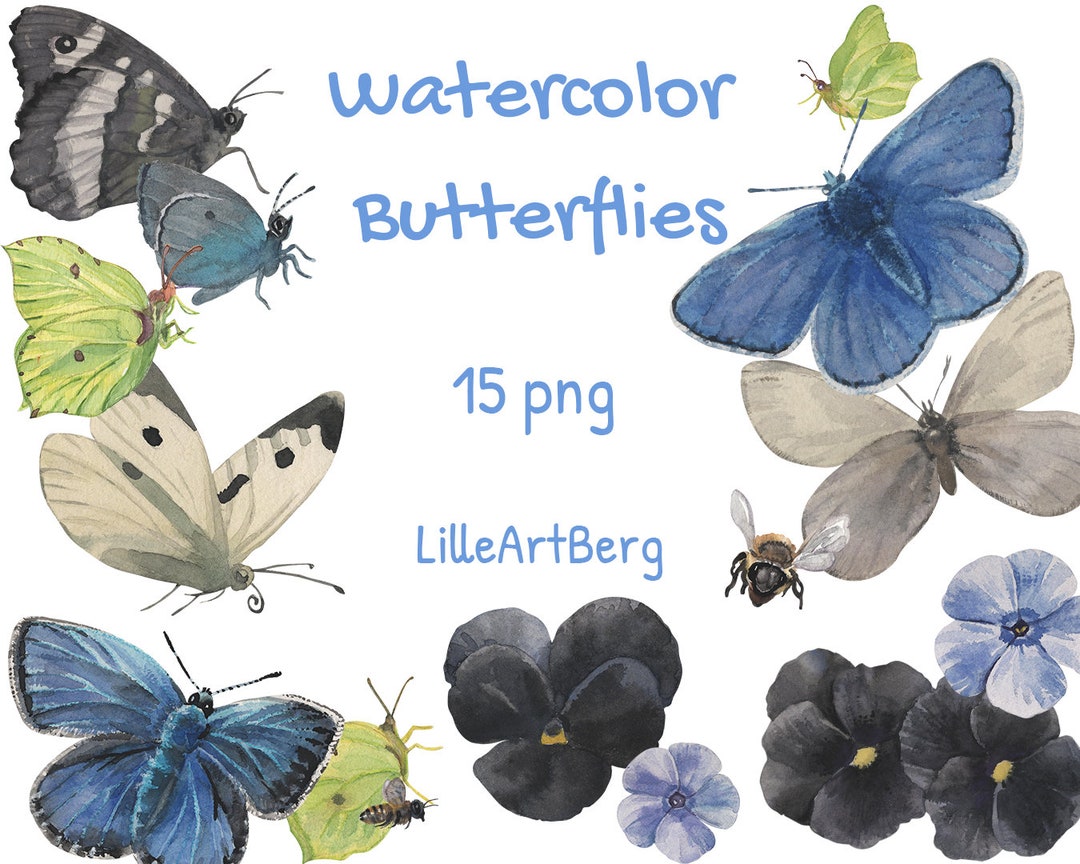 Butterfly Watercolor Clipart Set Spring Butterflies Cute Insects PNG ...