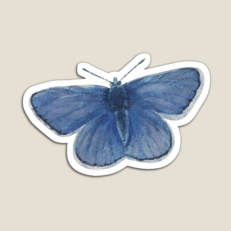 Watercolor Butterfly Clipart Set: Spring Insects & Black Flowers (PNG ...