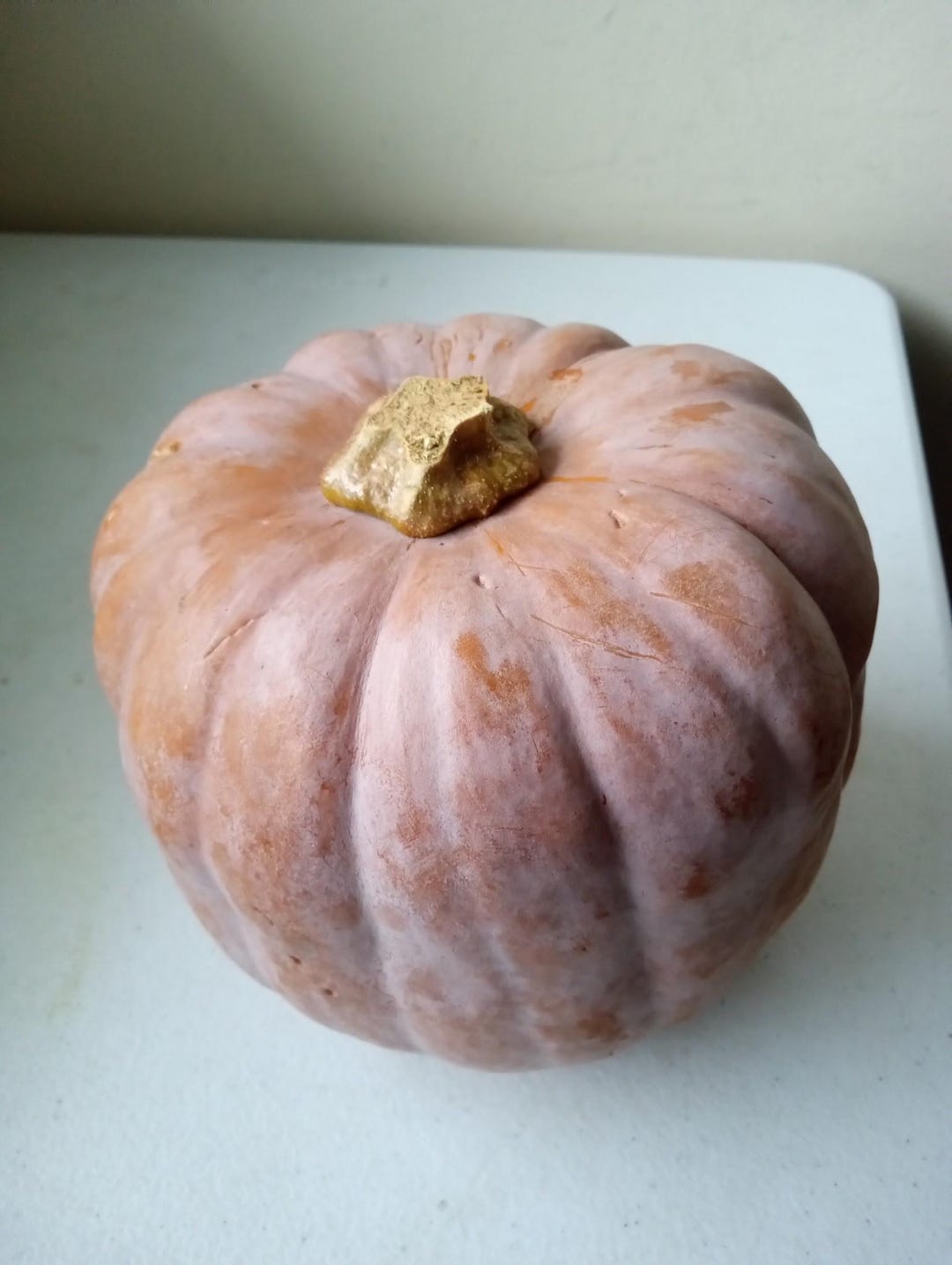 15+ Koginut Squash Seeds Koginut Pumpkin Seeds Kabocha Squash Butternut ...
