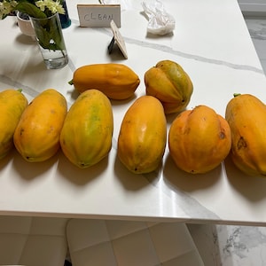 Golden Papaya Seeds Sweet Papaya Fruit Seeds Tropical Fruit Tree Seeds ...