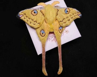 Handmade Realistic Little Moth Plush Moth Toy Unique Stuffed - Etsy