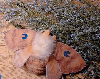 Little Moth Plush Moth Toy Handmade Realistic Unique Stuffed - Etsy