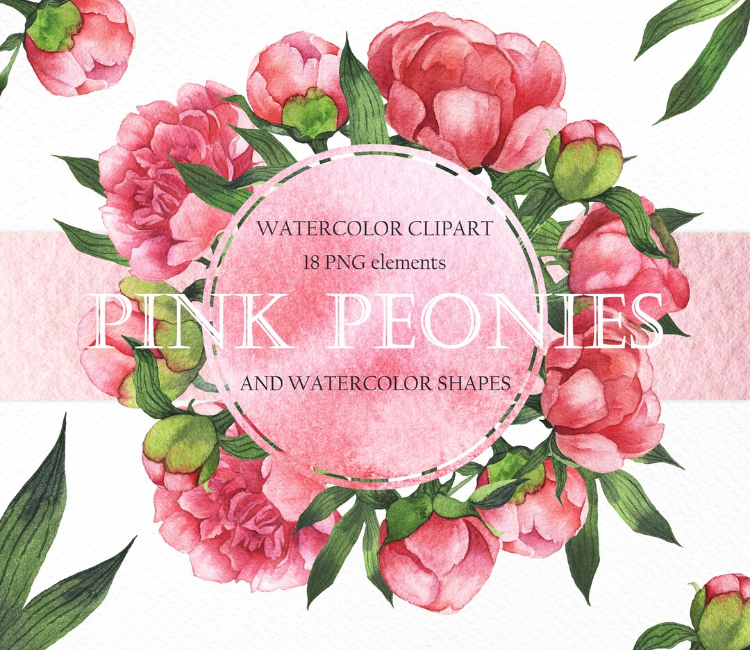 Watercolor Peonies Clipart. Watercolor Pink Shapes Clipart. - Etsy