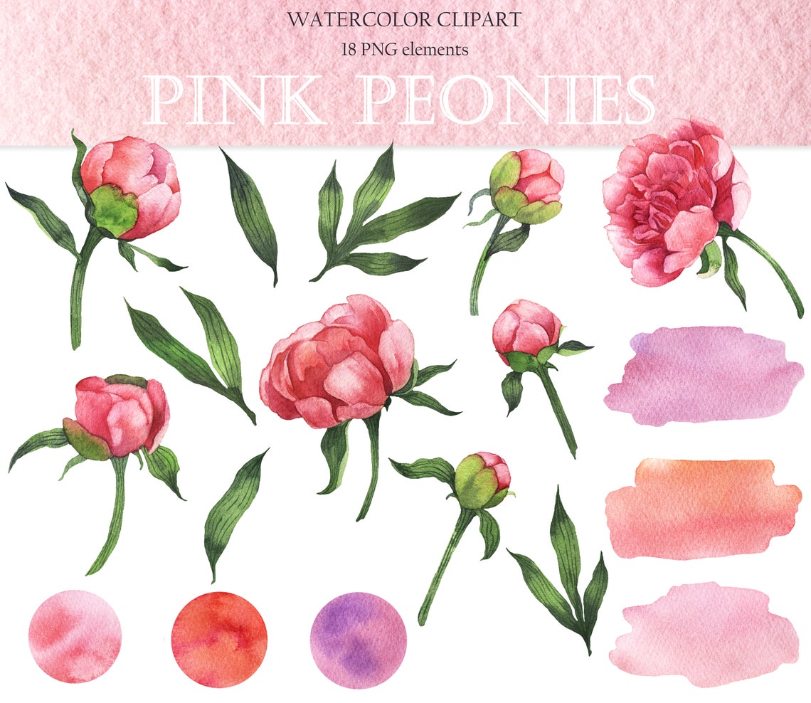 Watercolor Peonies Clipart. Watercolor Pink Shapes Clipart. - Etsy