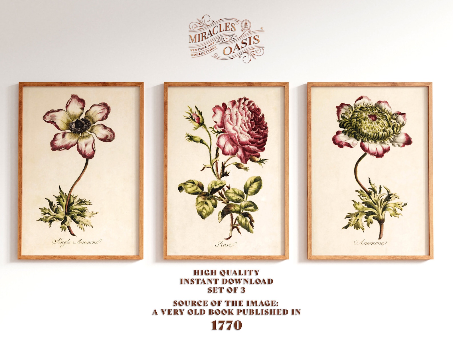 Vintage Botanical Prints Set of 3, Antique Flower Wall Decor, Botanical ...