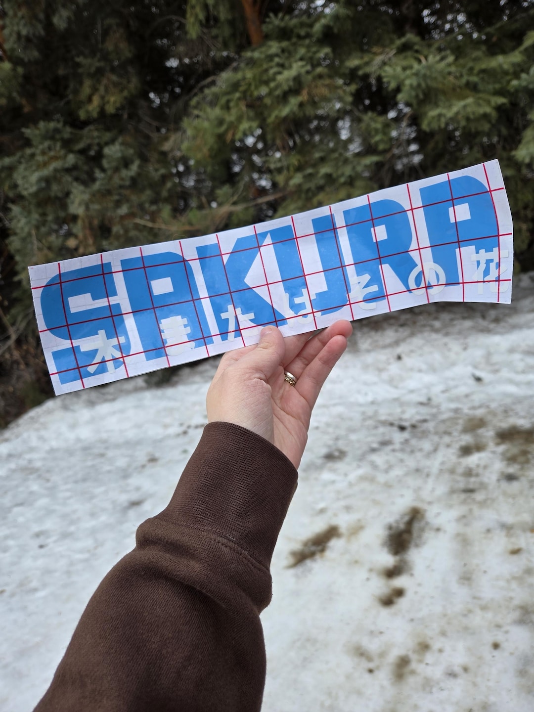 JDM Car Vinyl Decal, SAKURA Icy Blue With White Kanji - Japanese Style ...