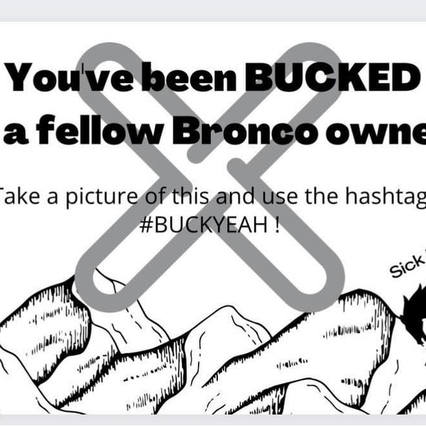 Buck Buck Bronco - Etsy