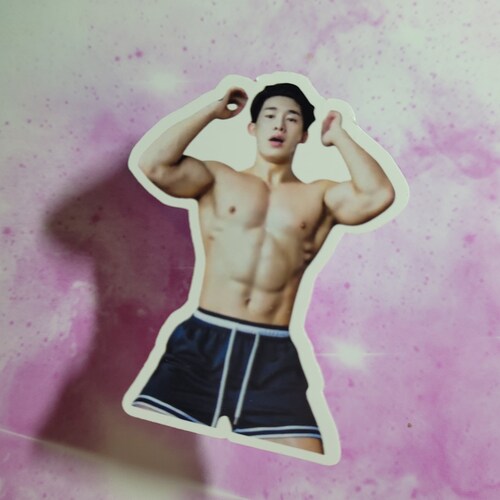 Wonho Sticker Sheet - Etsy