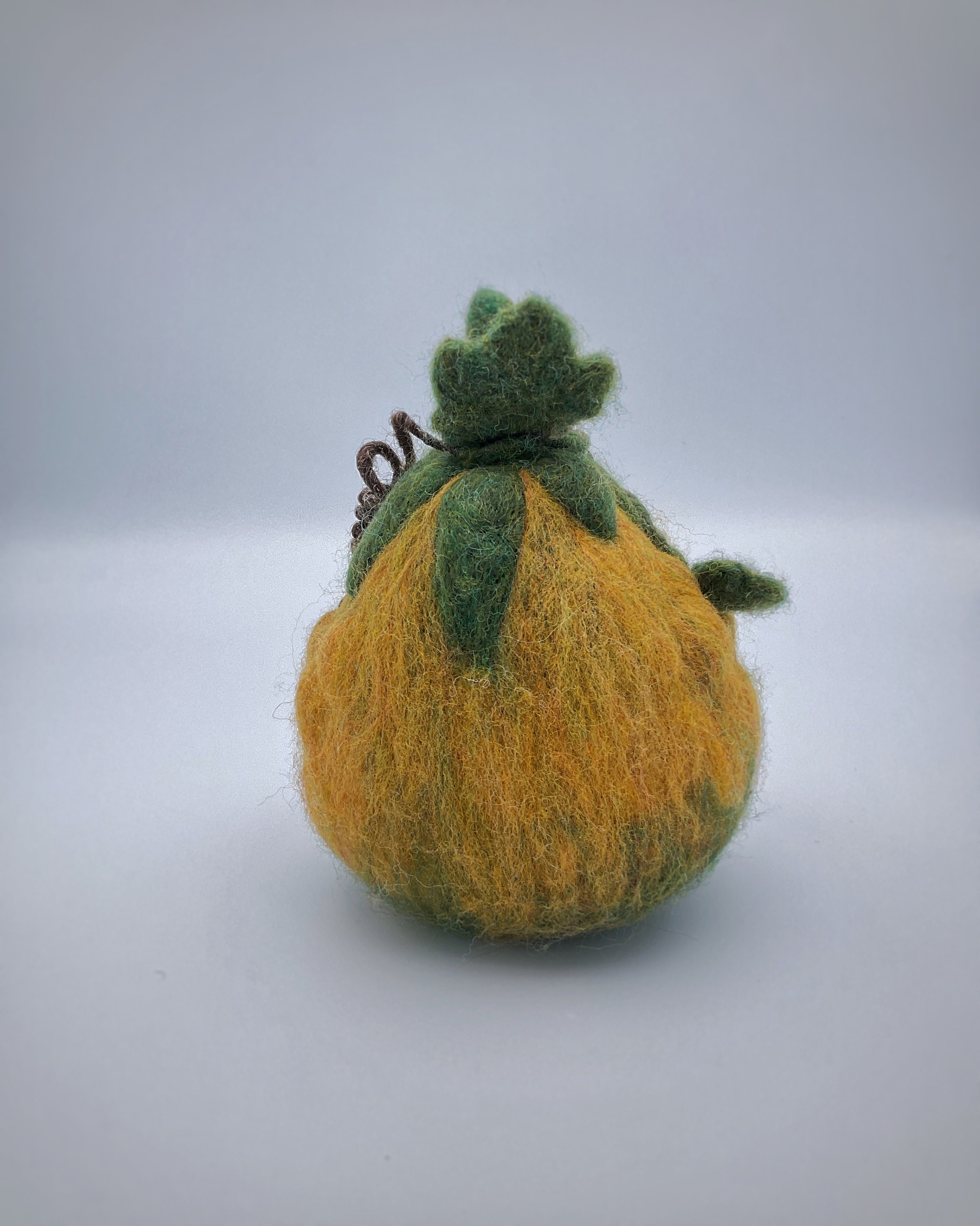 Felt Gourd, Fall Gourd, Wool E Critter, Minerva, Fall Colors, Felted ...