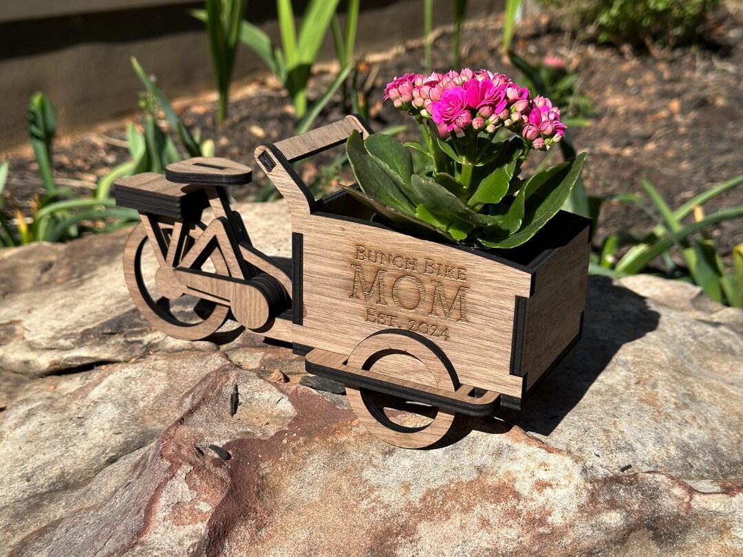 Bunch Bike Cargo Bike Plant Pot/planter for Flowers, Succulents, and ...