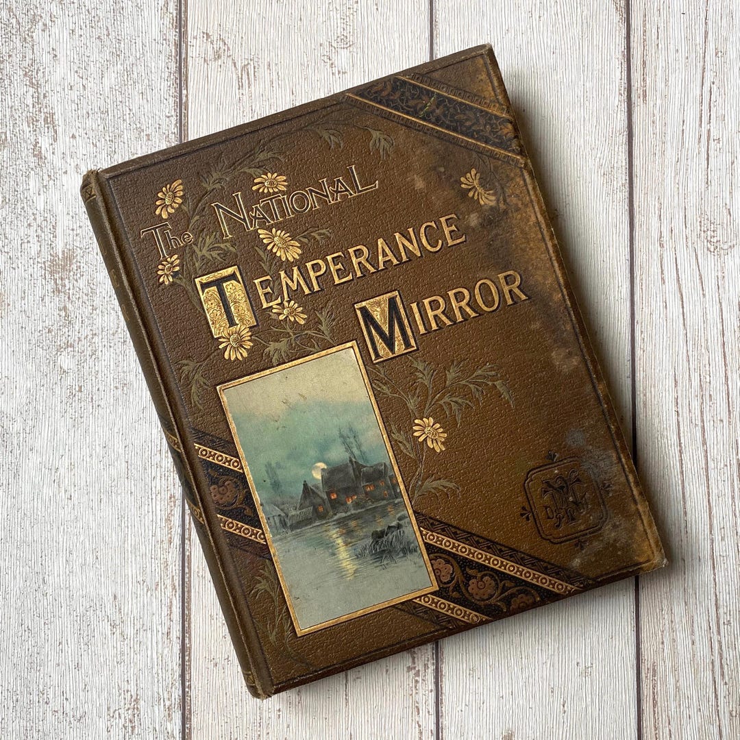 Antique the National Temperance Mirror Illustrated Hardback Book ...