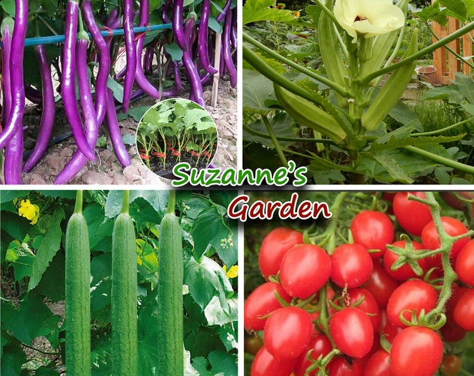 8 Varieties of Asian Vegetable Seeds Mix Combination Pack-- 100% Non ...