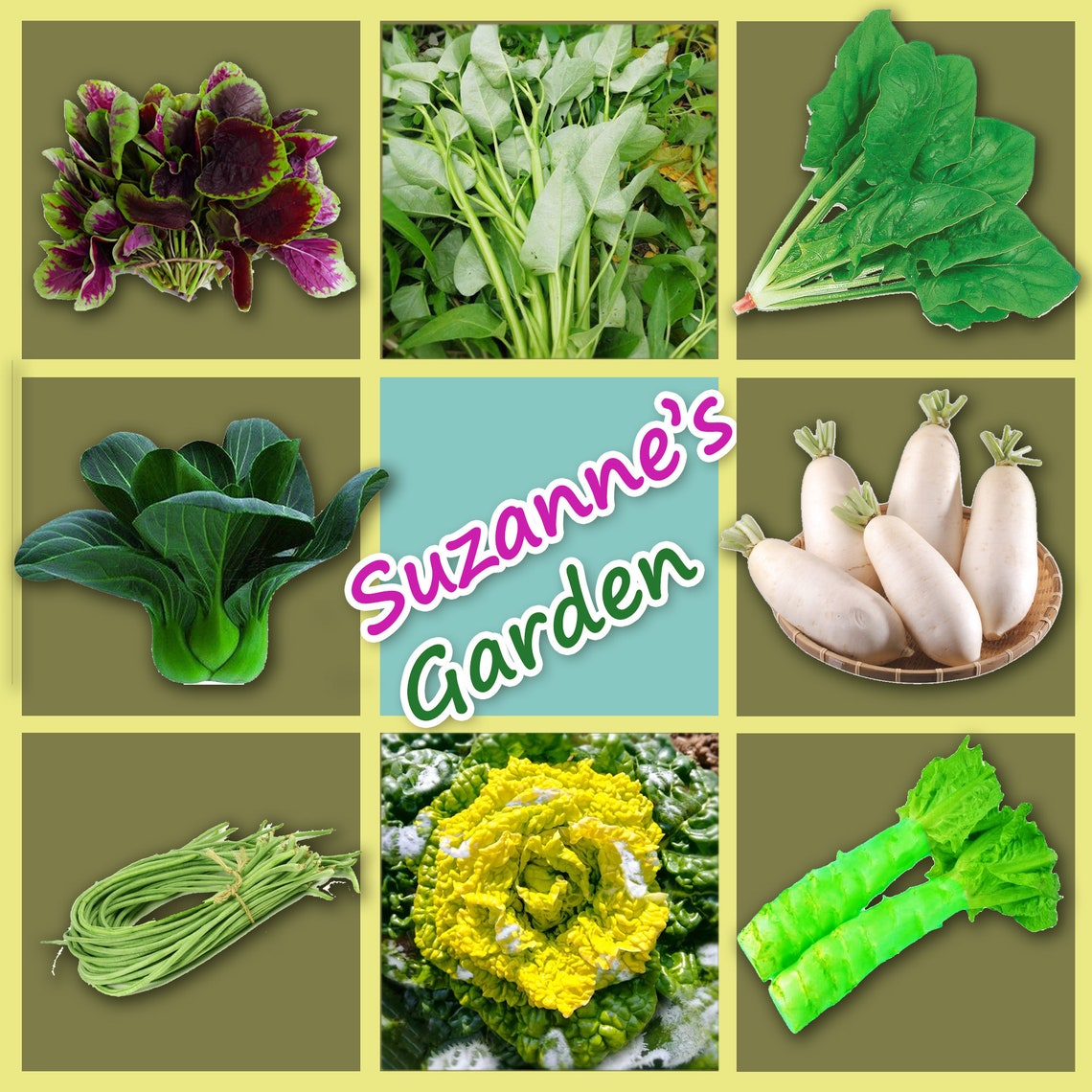 8 Varieties of Asian Vegetable Seeds Mix Combination Pack-- 100% Non ...