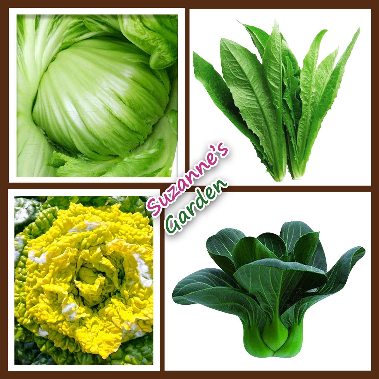 8 Varieties of Asian Vegetable Seeds Mix Combination Pack-- 100% Non ...