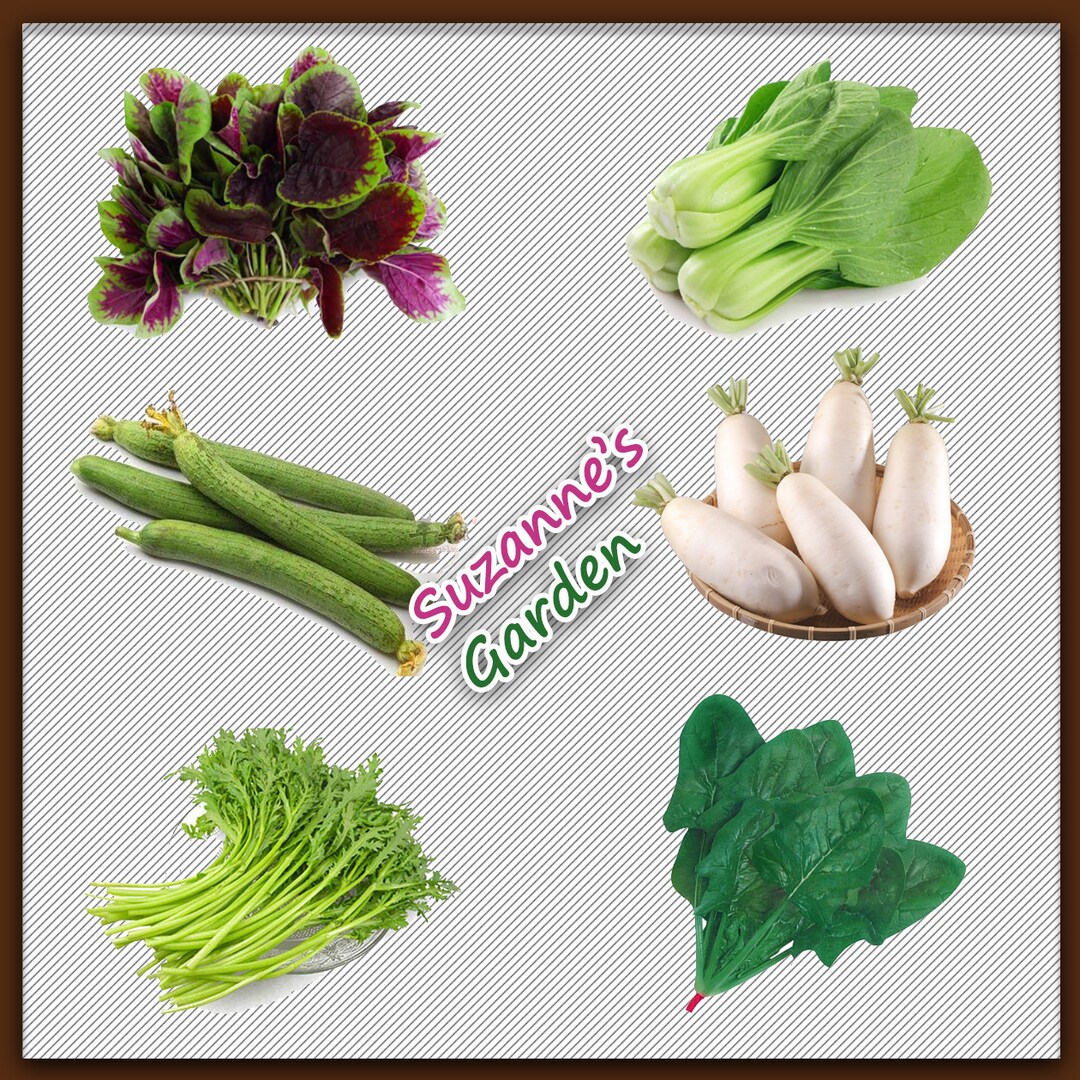 6 Varieties of Asian Vegetable Seeds Mix Combination Pack-- 100% Non ...