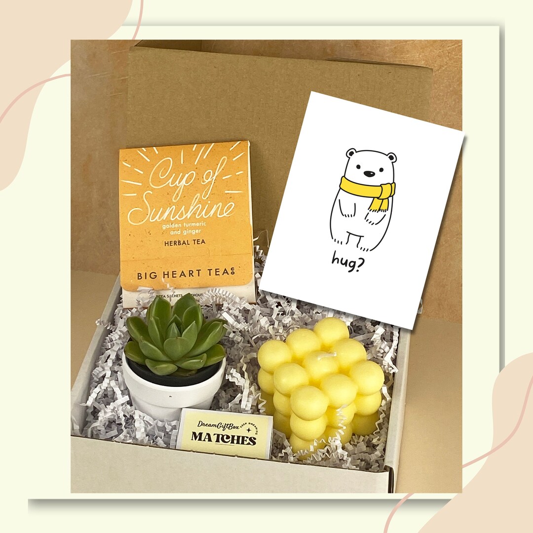 Thinking of You Succulent Gift Box Missing You Friendship Gift Box ...