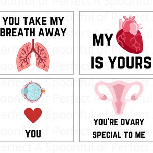 Science Valentine Bundle - Instant Download Punny Anatomy, Biology, and ...