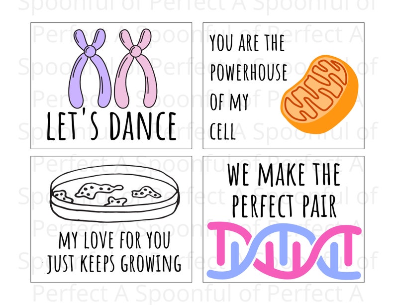 Science Valentine Bundle - Instant Download Punny Anatomy, Biology, and ...