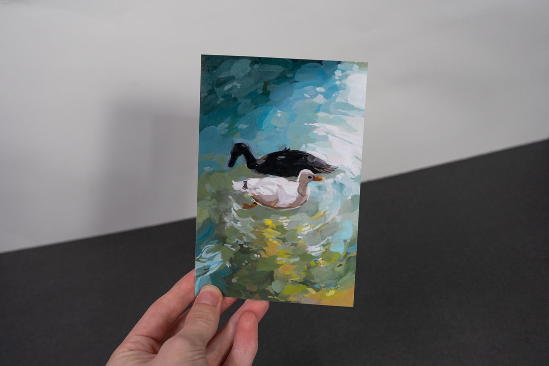 Yin and Yang Ducks Art Print - Etsy