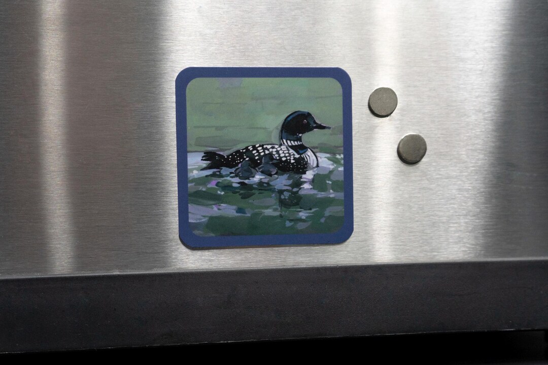 Loon Family Magnet/sticker - Etsy