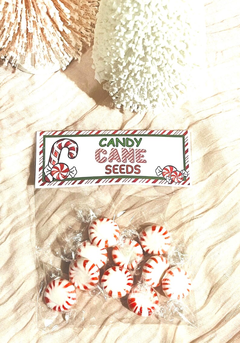 Christmas Stocking Stuffer, Candy Cane Seeds Treat Bag, Party Favor ...